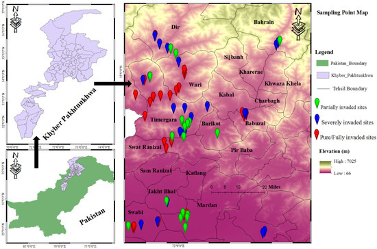 Invasive Milk Thistle (Silybum marianum (L.) Gaertn.) Causes Habitat ...