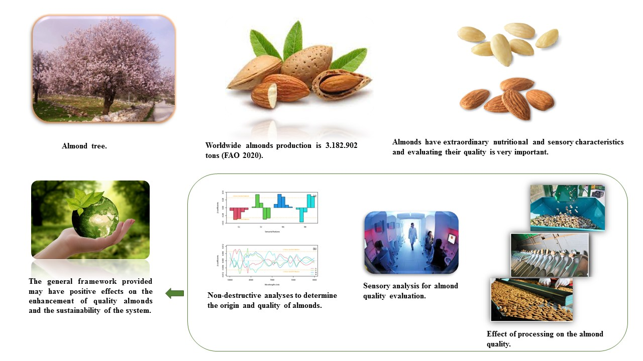 Agriculture | Free Full-Text | Progress in Almond Quality and Sensory ...