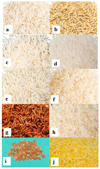 Agriculture | Free Full-Text | Rice for Food Security: Revisiting Its ...