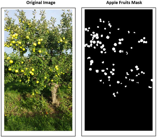 Automated Apple Recognition System Using Semantic Segmentation Networks ...