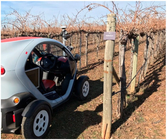 3D Assessment of Vine Training Systems Derived from Ground-Based RGB-D ...