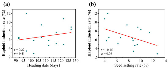 Development of Multiple-Heading-Date mtl Haploid Inducer Lines in Rice