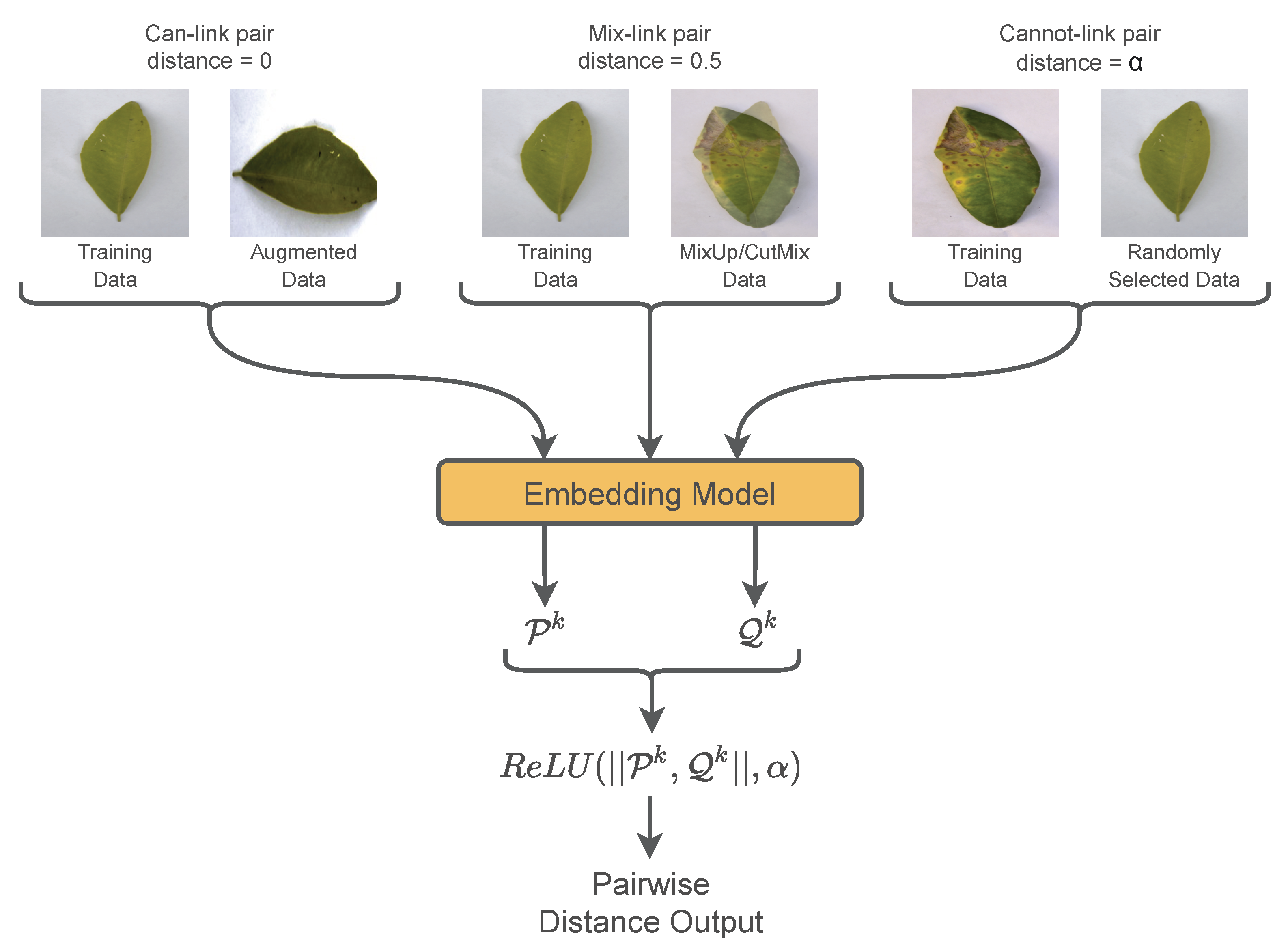 Self-Supervised Clustering for Leaf Disease Identification