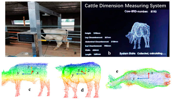 Key Region Extraction and Body Dimension Measurement of Beef Cattle ...