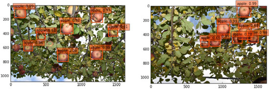 Agriculture | An Open Access Journal from MDPI