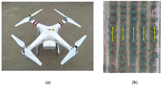Image Segmentation of UAV Fruit Tree Canopy in a Natural Illumination ...