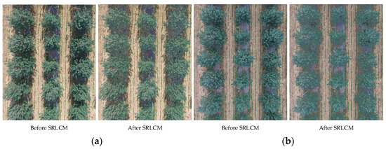 Image Segmentation of UAV Fruit Tree Canopy in a Natural Illumination ...