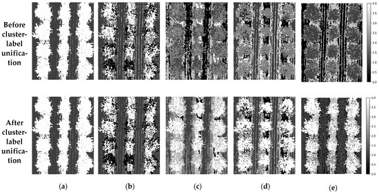 Image Segmentation of UAV Fruit Tree Canopy in a Natural Illumination ...