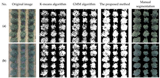 Image Segmentation of UAV Fruit Tree Canopy in a Natural Illumination ...