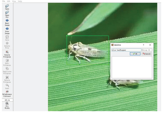 Recommending Advanced Deep Learning Models for Efficient Insect Pest ...