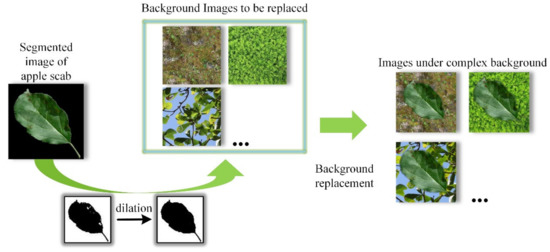 Identifying Field Crop Diseases Using Transformer-Embedded Convolutional Neural Network