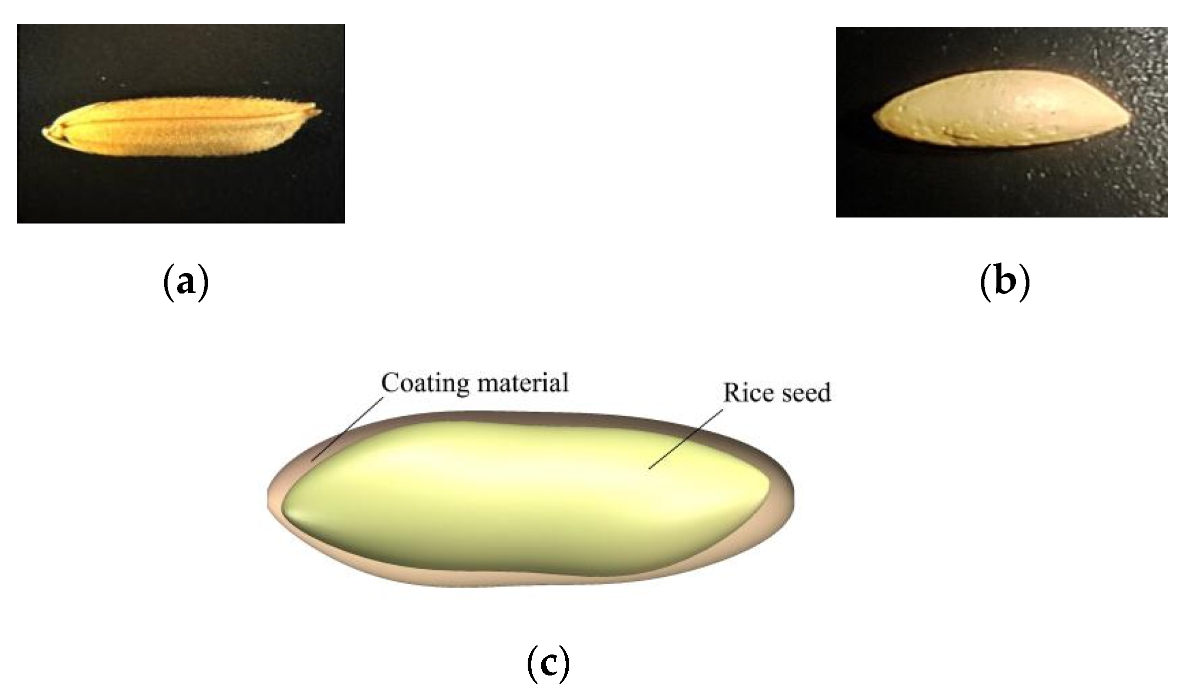 Design of and Experiment on a Cleaning Mechanism of the Pneumatic ...