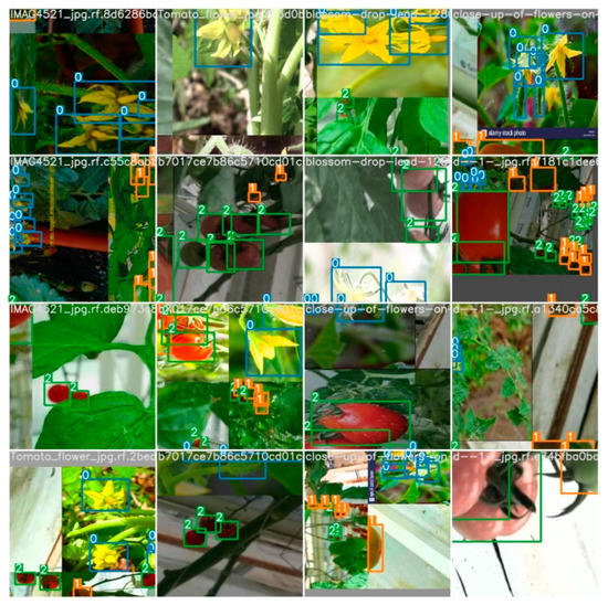 Agriculture | Free Full-Text | Drone-Computer Communication Based Tomato Generative Organ ...