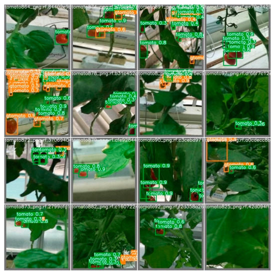 Agriculture | Free Full-Text | Drone-Computer Communication Based Tomato Generative Organ ...