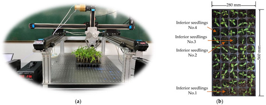 Agriculture | Free Full-Text | Optimizing the Path of Plug Tray ...