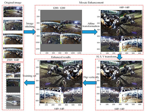 Detection Method of Cow Estrus Behavior in Natural Scenes Based on ...