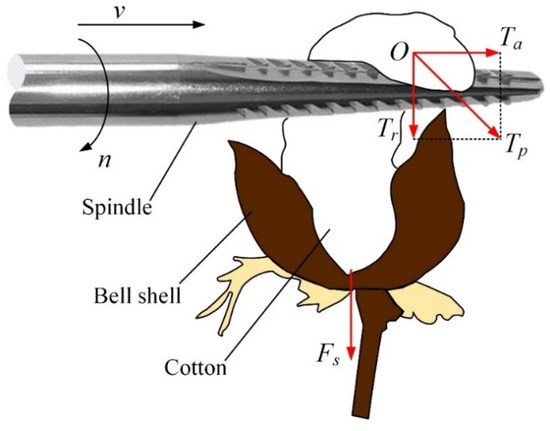 Analysis and Experiment of Dynamic Picking Process of Spindle of Cotton ...
