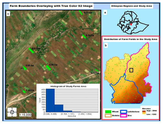 Agriculture | Free Full-Text | Enhancing Smallholder Wheat Yield ...