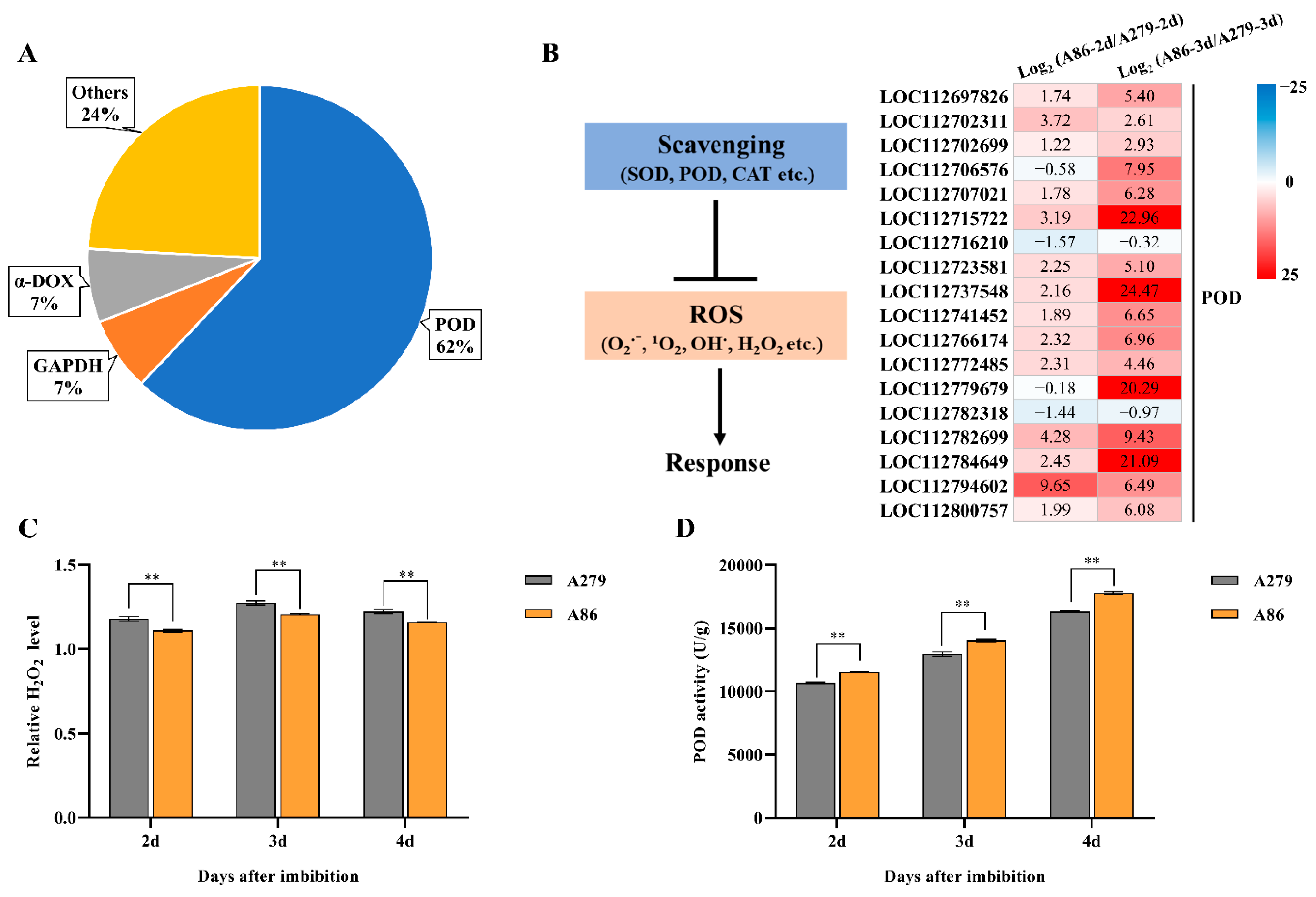 Comparative Transcriptome Analysis Reveals the Mechanisms Underlying ...