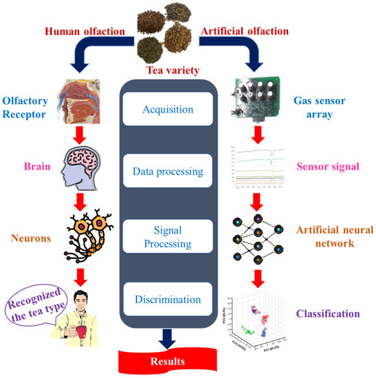 Agriculture | Free Full-Text | Applications of Electronic Nose Coupled with Statistical and ...