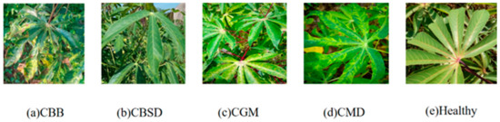 Classification of Cassava Leaf Disease Based on a Non-Balanced Dataset Using Transformer ...