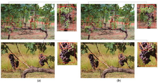 A Novel Lightweight Grape Detection Method