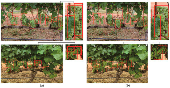 A Novel Lightweight Grape Detection Method