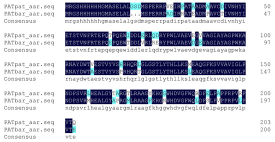 Establishment of an ELISA Method for Quantitative Detection of PAT/pat ...