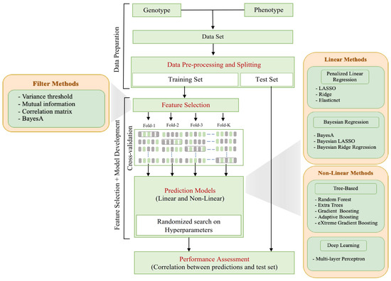 Genomic Prediction of Wheat Grain Yield Using Machine Learning