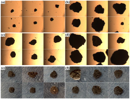Soil Particle Modeling and Parameter Calibration Based on Discrete ...