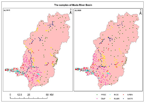 Optimization of Open-Access Optical and Radar Satellite Data in Google ...
