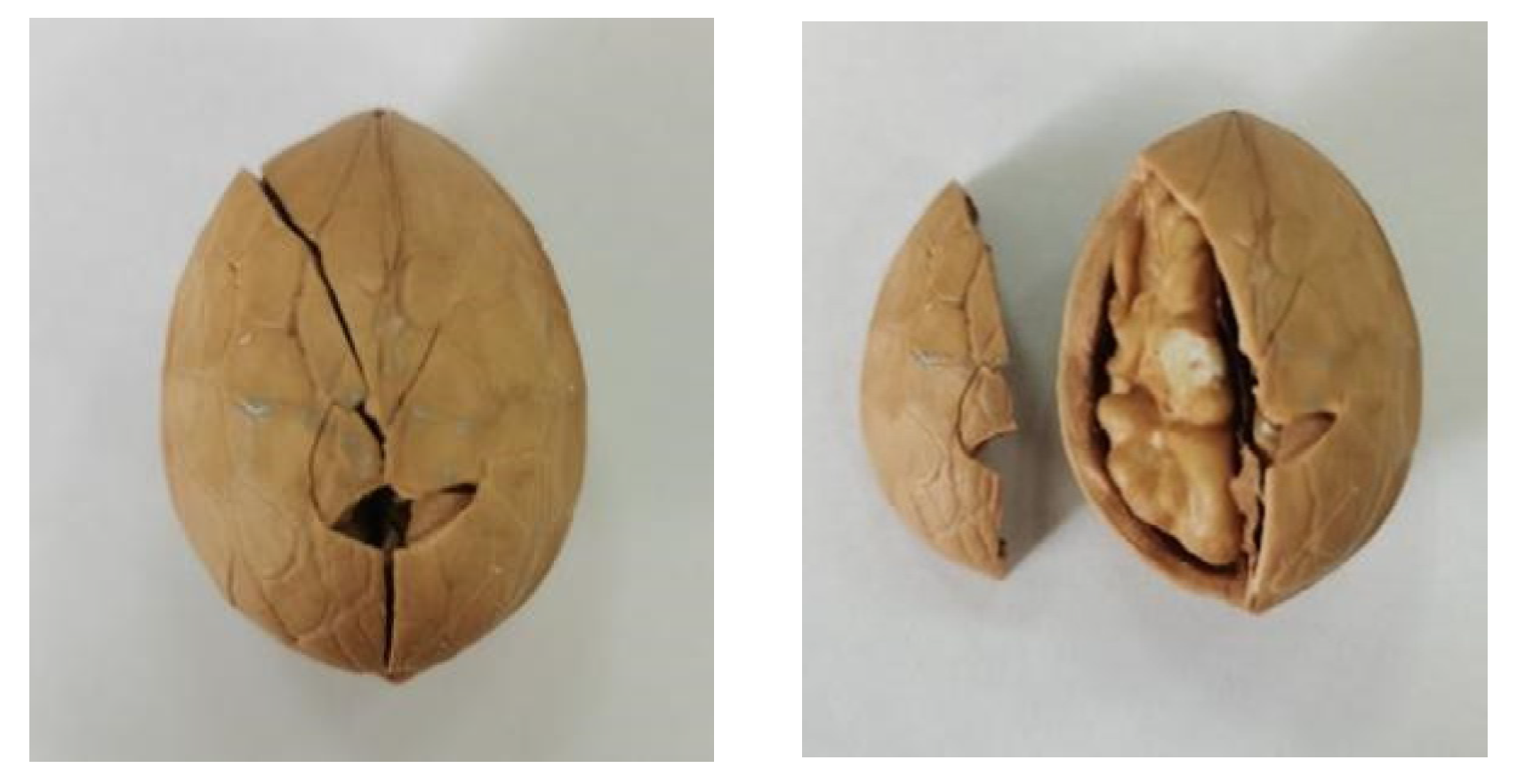 Agriculture | Free Full-Text | Construction and Verification of ...