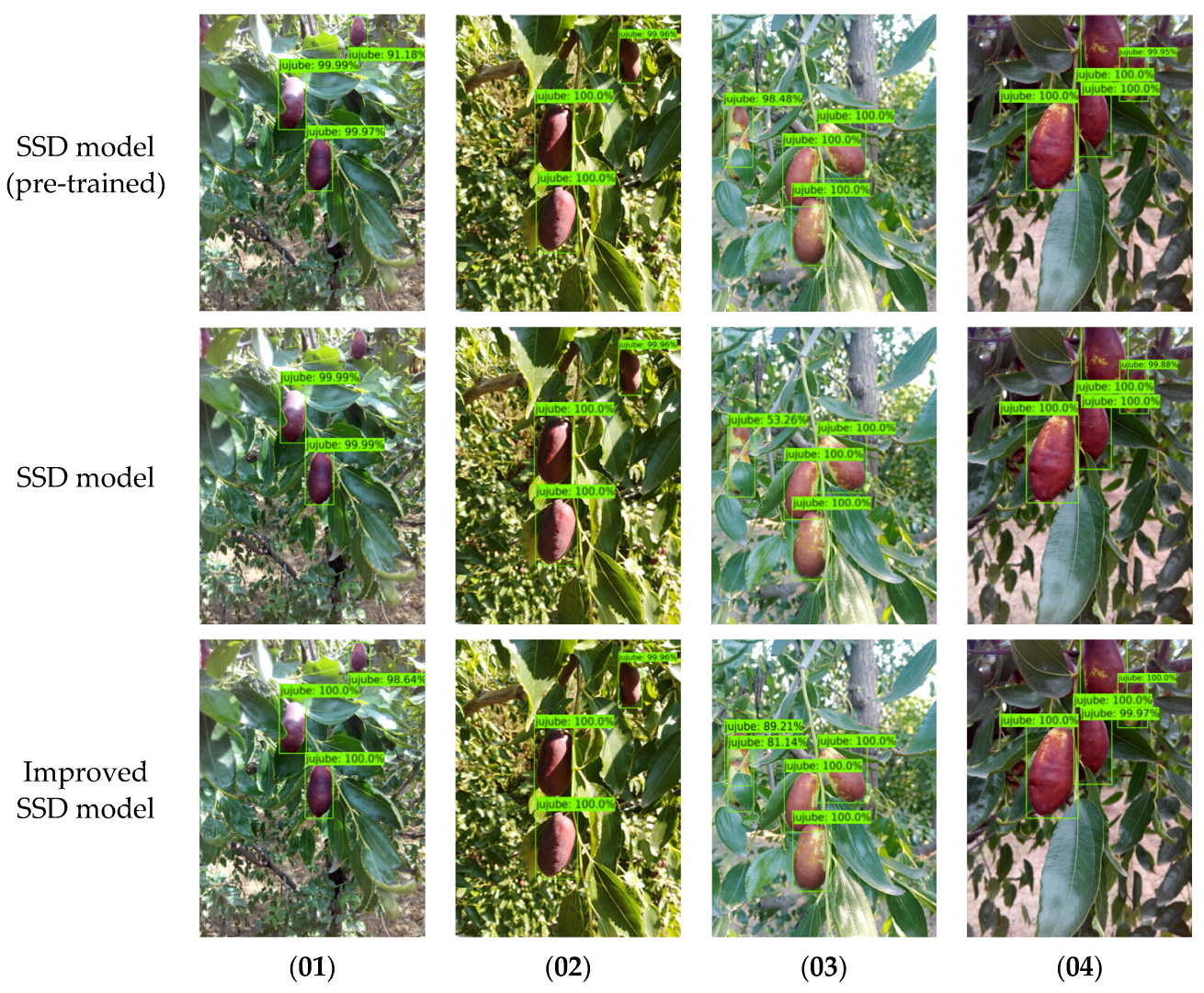 Agriculture | Free Full-Text | Object Detection Algorithm for Lingwu Long Jujubes Based on the ...