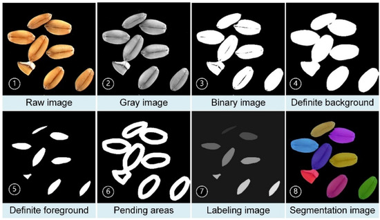 A Fast Deployable Instance Elimination Segmentation Algorithm Based on ...