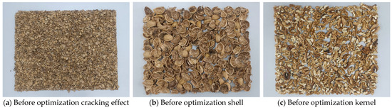 Design and Performance Evaluation of a Multi-Point Extrusion Walnut ...