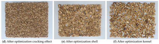 Design and Performance Evaluation of a Multi-Point Extrusion Walnut ...