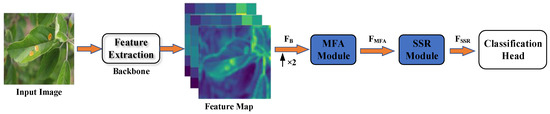 Multi-Granularity Feature Aggregation with Self-Attention and Spatial Reasoning for Fine-Grained ...