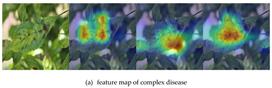 Multi-Granularity Feature Aggregation with Self-Attention and Spatial Reasoning for Fine-Grained ...