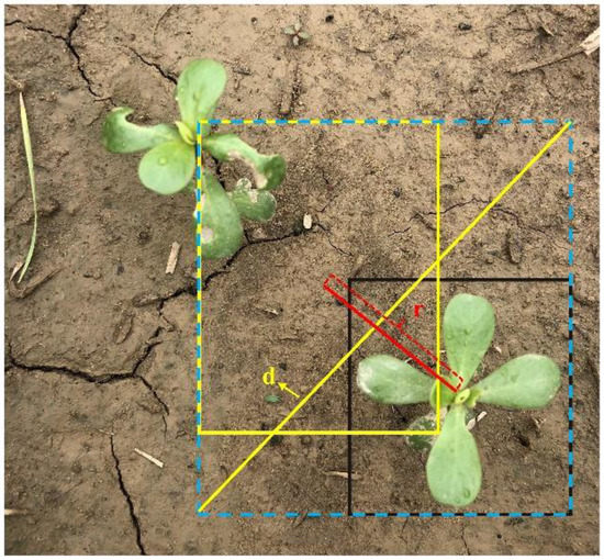 Weed Detection in Peanut Fields Based on Machine Vision