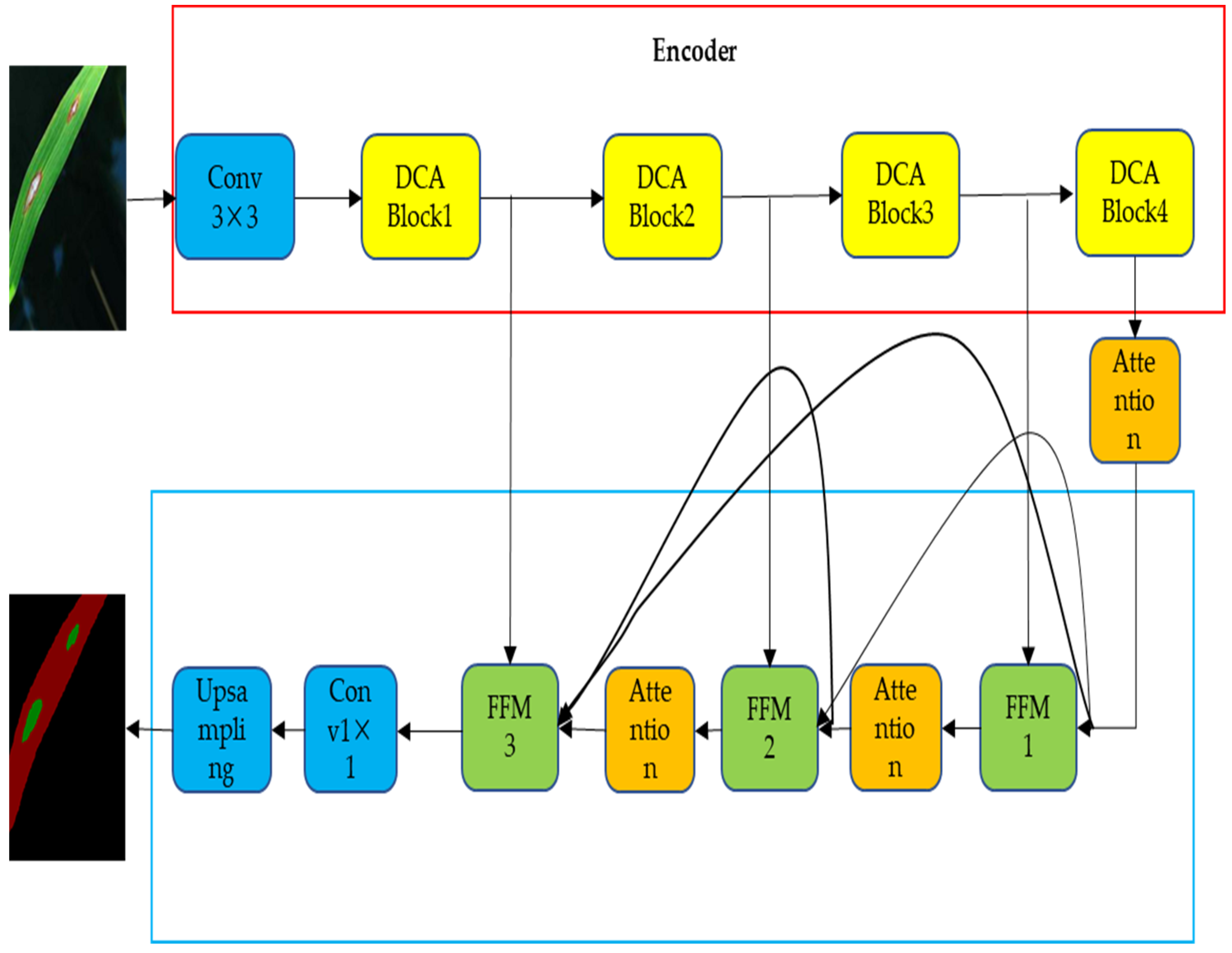 A Lightweight Real-Time Rice Blast Disease Segmentation Method Based on DFFANet