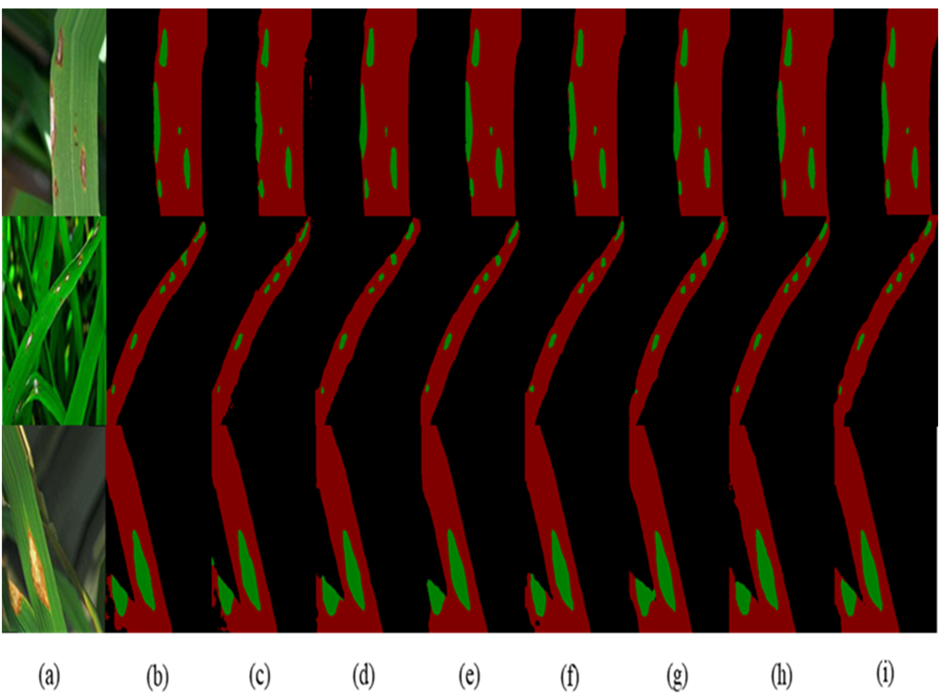 A Lightweight Real-Time Rice Blast Disease Segmentation Method Based on ...