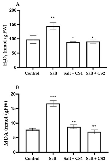 Antioxidant Capacity of Chitosan on Sorghum Plants under Salinity Stress