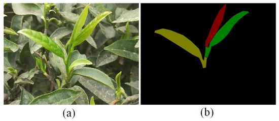 Tea Sprout Picking Point Identification Based on Improved DeepLabV3+