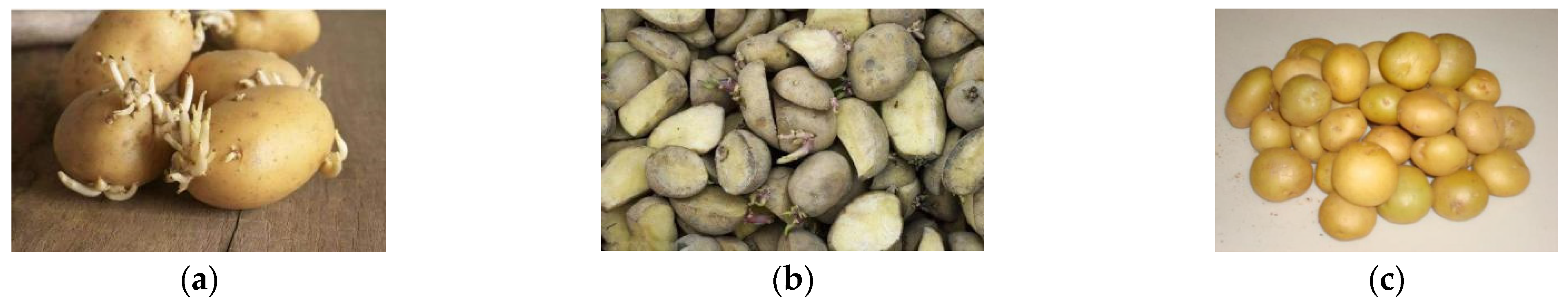 Agriculture | Free Full-Text | Potato Planter and Planting Technology ...