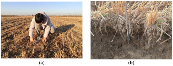 Design and Testing of Discrete Element-Based Counter-Rotating ...