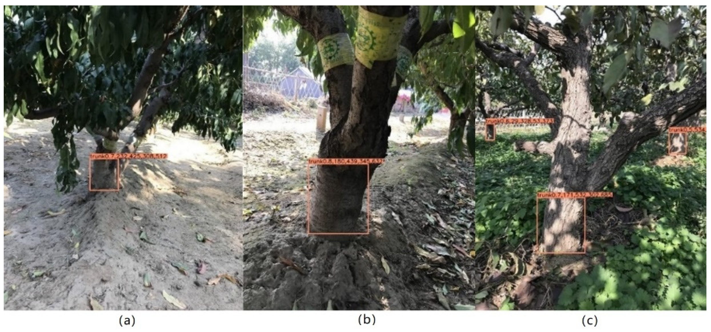 A Deep-Learning Extraction Method for Orchard Visual Navigation Lines
