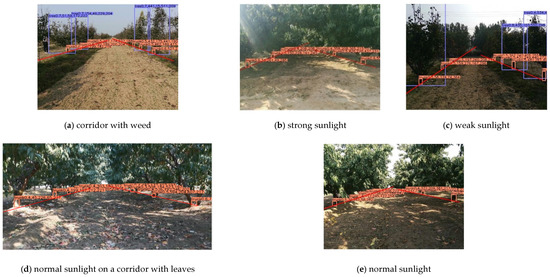 A Deep-Learning Extraction Method for Orchard Visual Navigation Lines