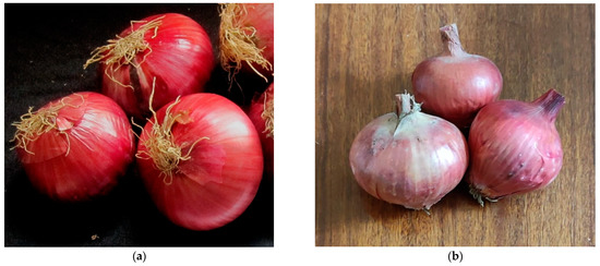 The Use of Fluorescence Spectroscopic Data and Machine-Learning ...