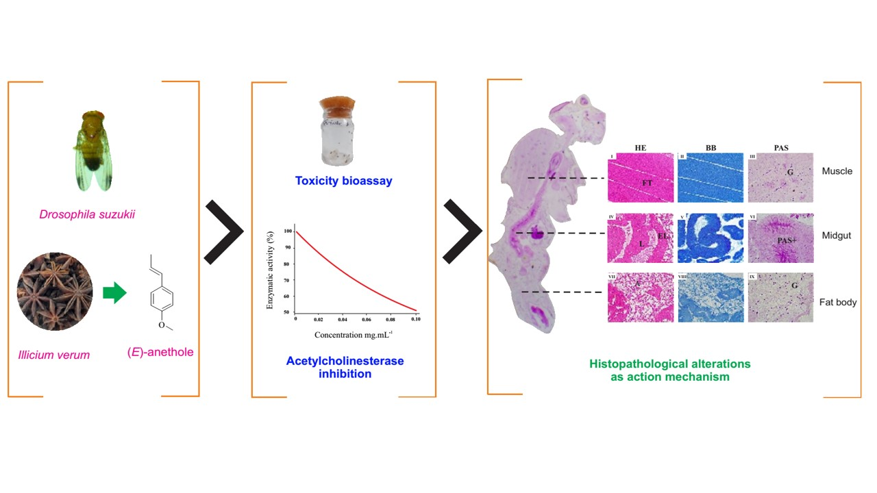 Agriculture | Free Full-Text | Toxicity, Histopathological Alterations ...