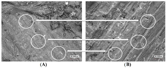 Development of a Unique Technology for the Pyrolysis of Rice Husk ...